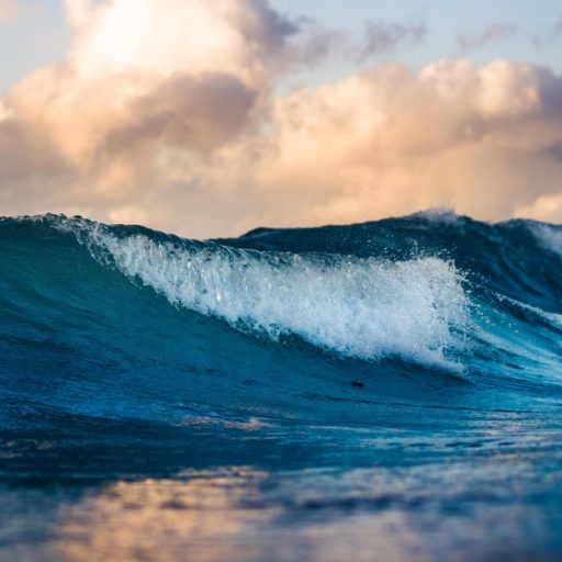 Accueil – Une Vague d’Optimisme - Une Vague d'Optimisme